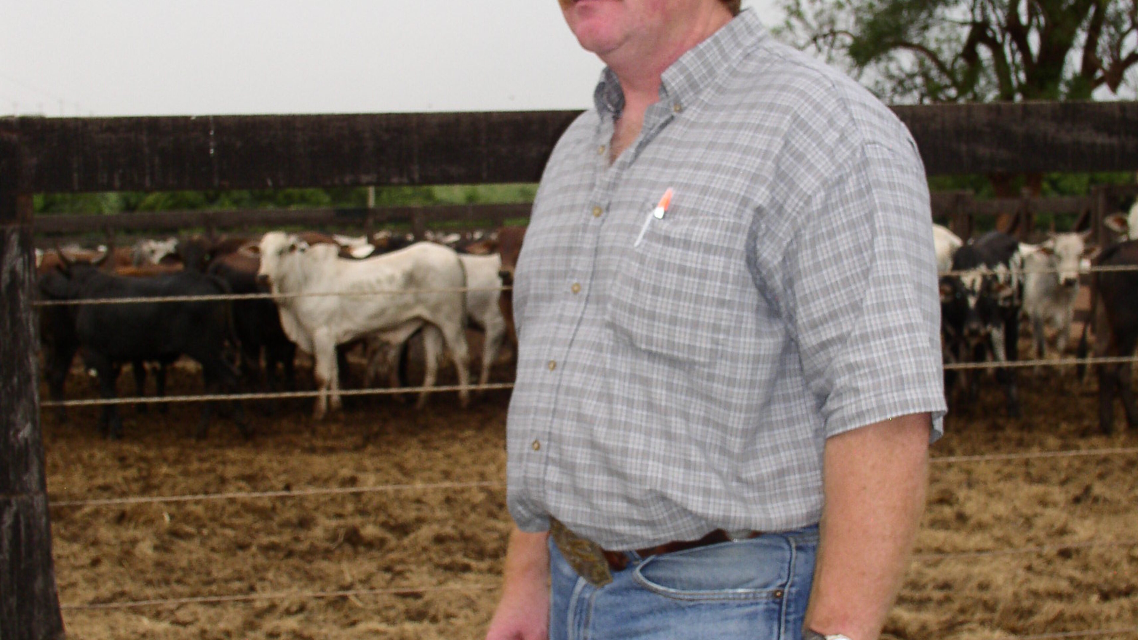 Faculty Spotlight: Rick Funston | Department of Animal Science | Nebraska